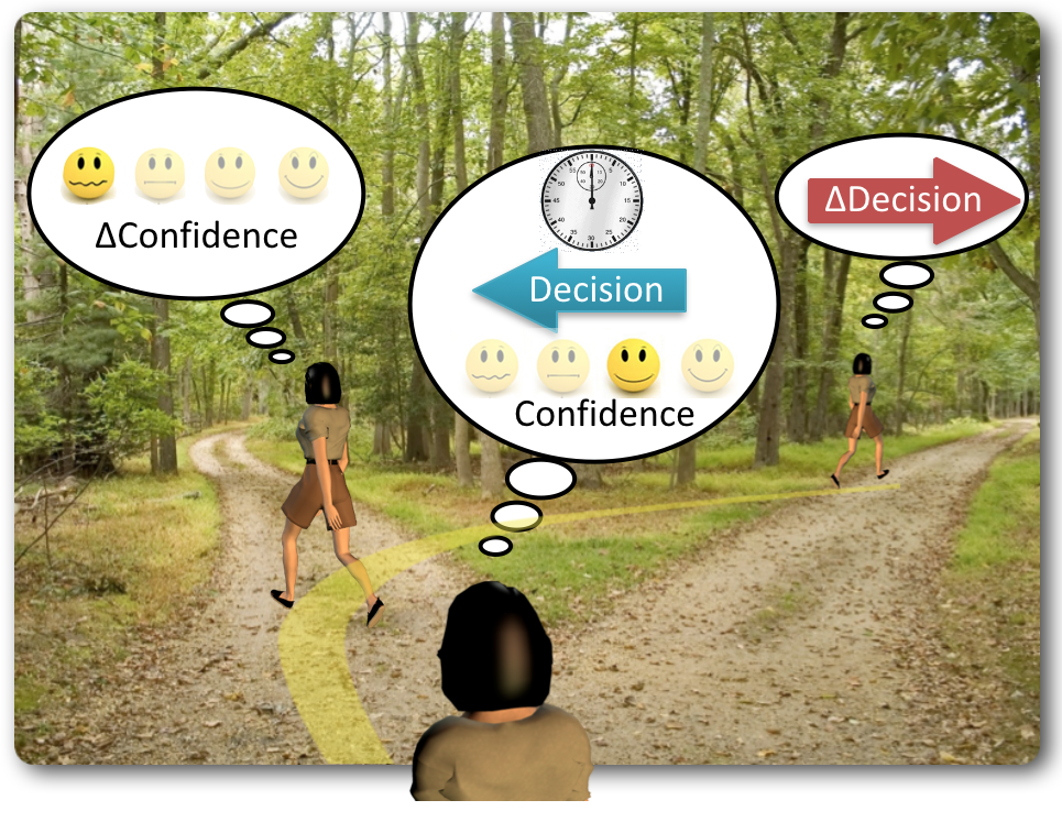 Sensorimotor Decision Making Sensorimotor Learning Group Wolpert Lab